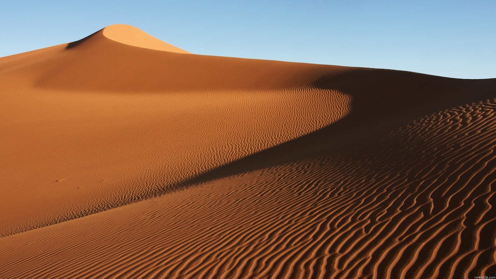 Congeniar con los signos del elemento Tierra